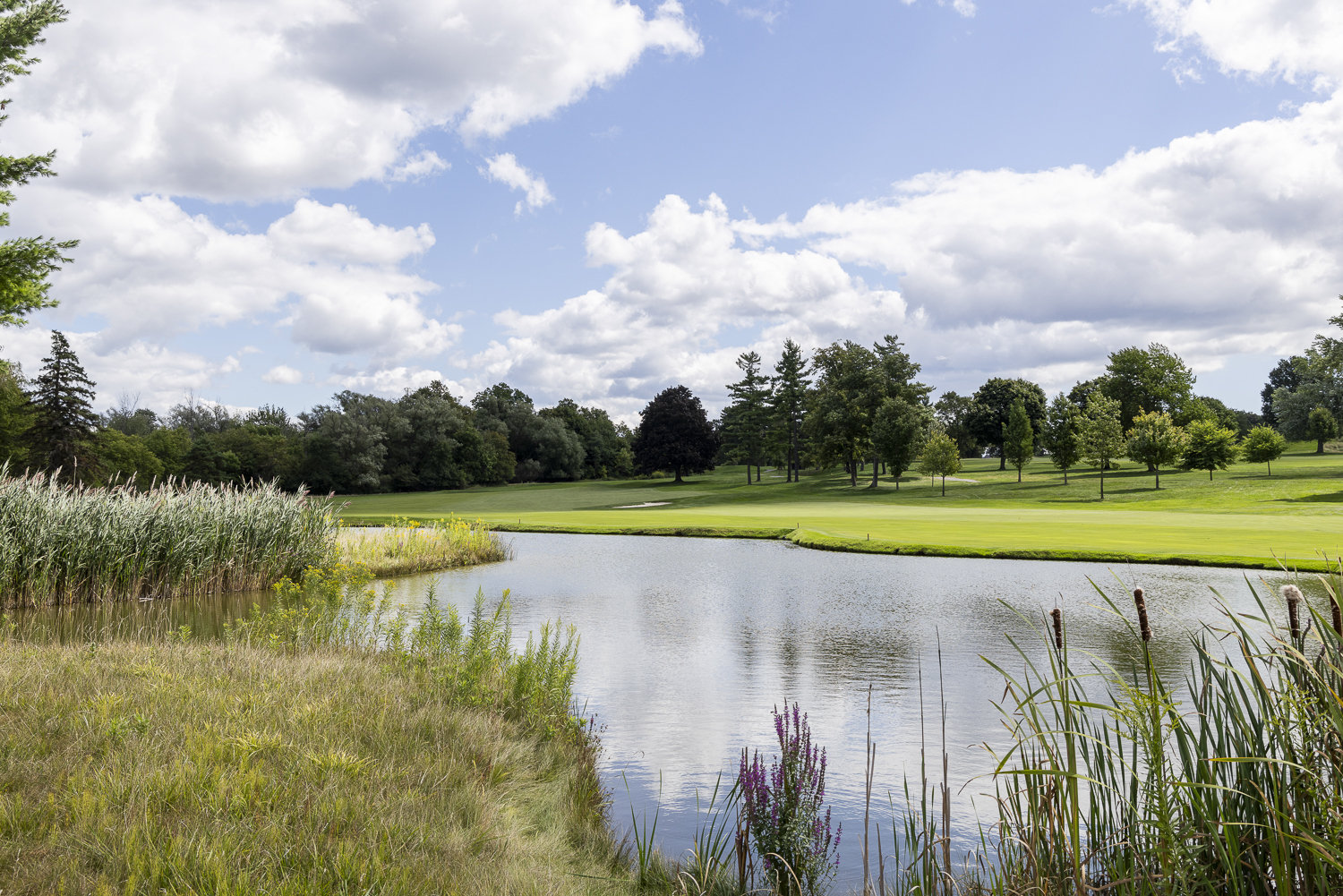 Golf at CCB - Country Club of Buffalo Foundation